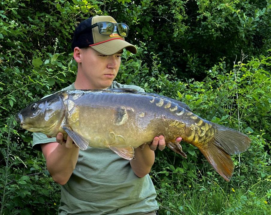 Mirror carp | Total Carp